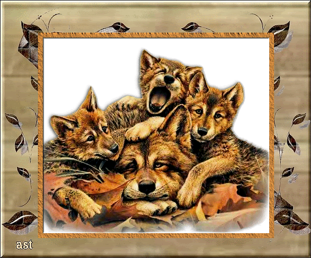 wolves, family, wolf cubs, wolf mother, animated gif, wildlife, nature ...